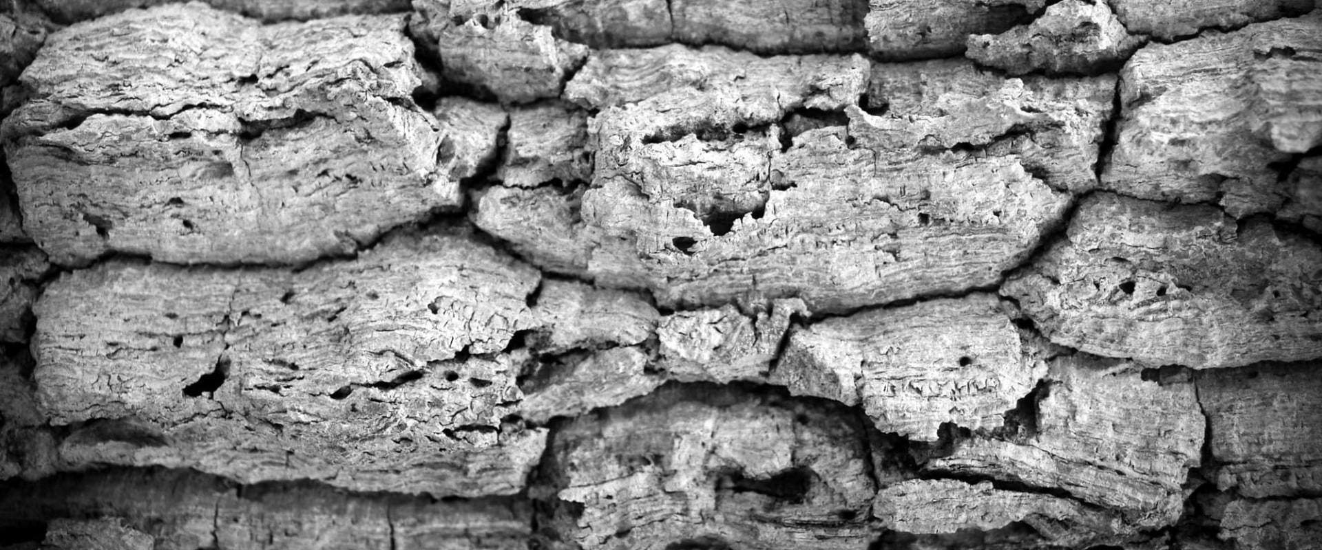 Concrete Cancer: What You Need to Know | Concrete Filler Net